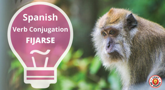 Learn the Conjugation of Spanish Verb FIJARSE fast